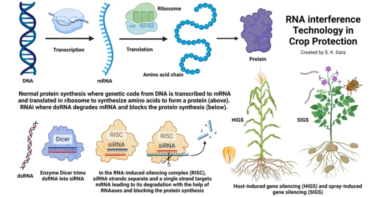 RNAi technology: another biological tool in the IPM arsenal | E-Journal ...